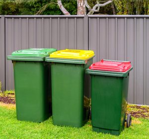 What Size Bin Do Councils Use for Green Waste Collection? - Wastecorp ...